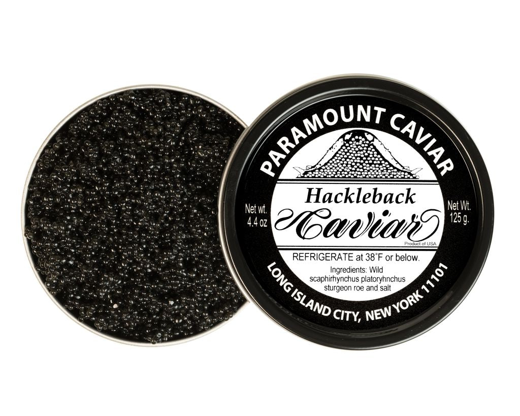 Hackleback Sturgeon | Paramount Caviar – PARAMOUNT CAVIAR